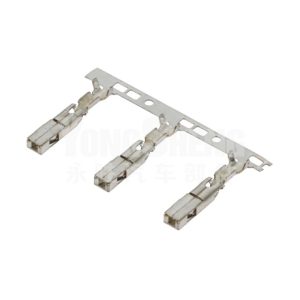 211CC3S1160 Archives - آرکا تجارت فاخر نشان