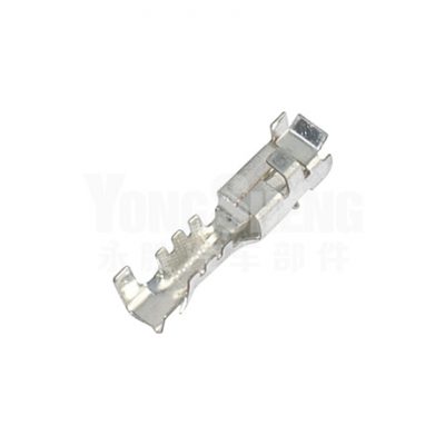 12077939 - آرکا تجارت فاخر نشان